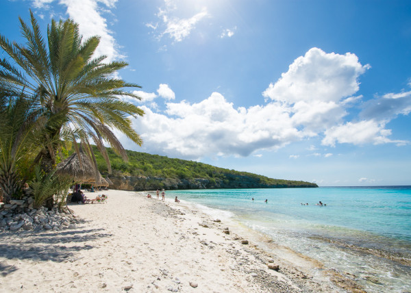 The Real Blue Curaçao