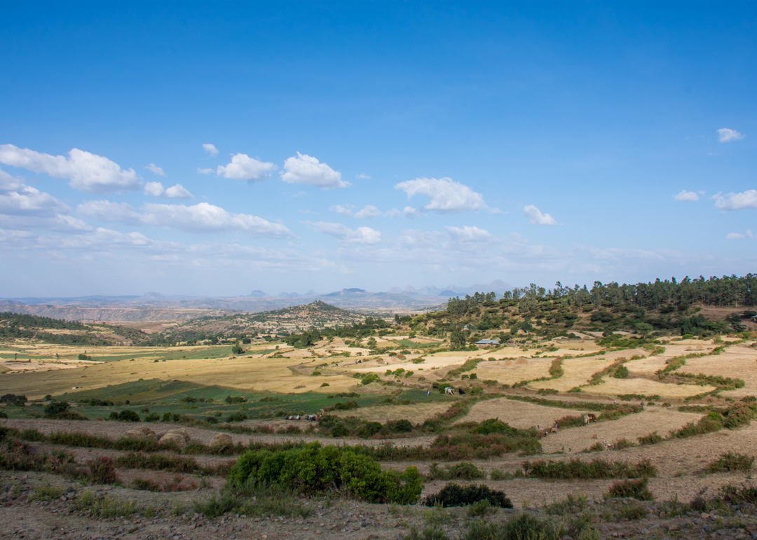 Relics and Legends in the Ancient City of Aksum, Ethiopia