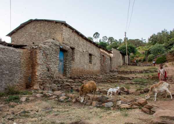 Relics and Legends in the Ancient City of Aksum, Ethiopia