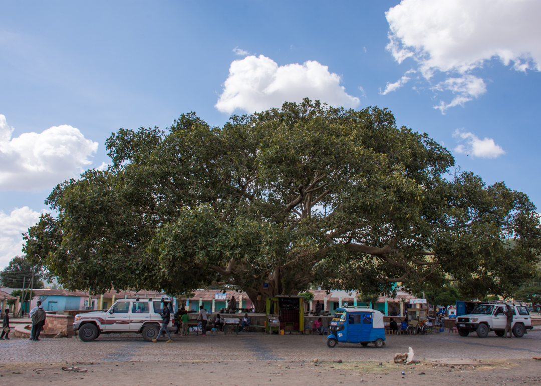 Relics and Legends in the Ancient City of Aksum, Ethiopia