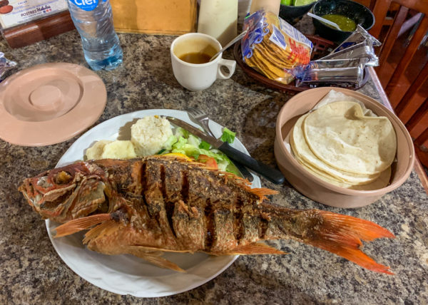 Embracing the delicious, low-key Mexican life in La Paz