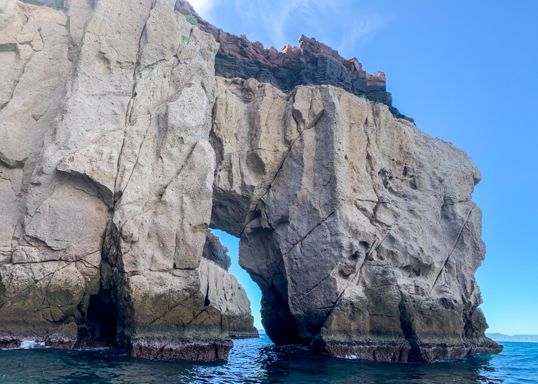Isla Espiritu Santo - The Galapagos of Mexico | Flying Fourchette