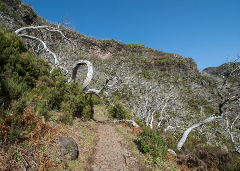 Hiking Madeira's iconic Pico to Pico